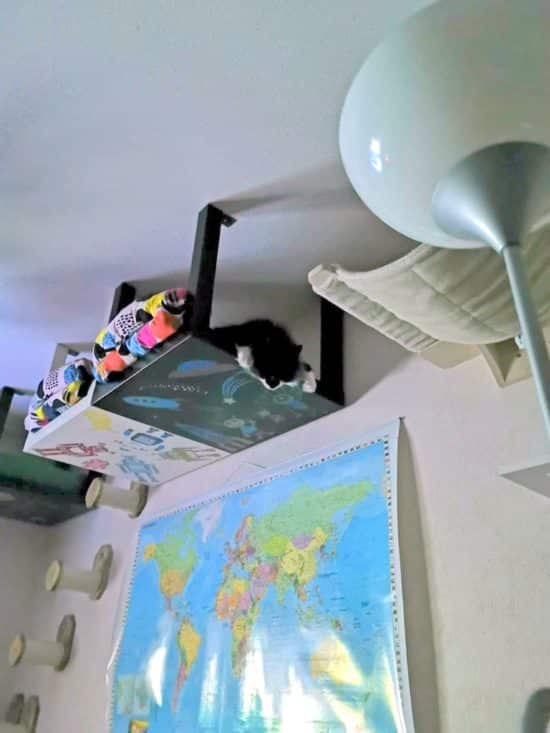 Cat walkway: How to make space for your furkids