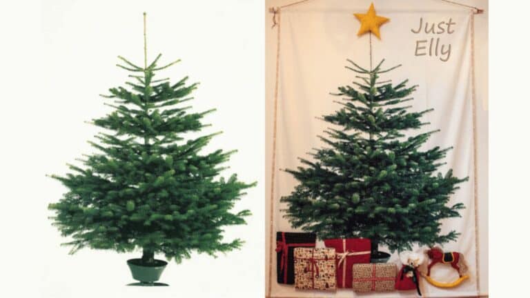 Deck the Small Spaces: 10 Christmas Tree Alternatives To Try This Year
