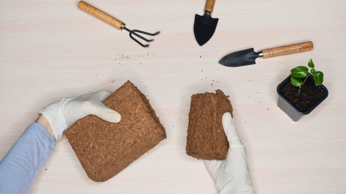 Coconut Coir: What Is It and How To Use It