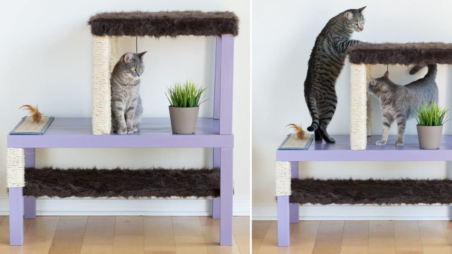12 Purrfect Hacks for Cats and a Look at IKEA’s New UTSÅDD Pet Collection