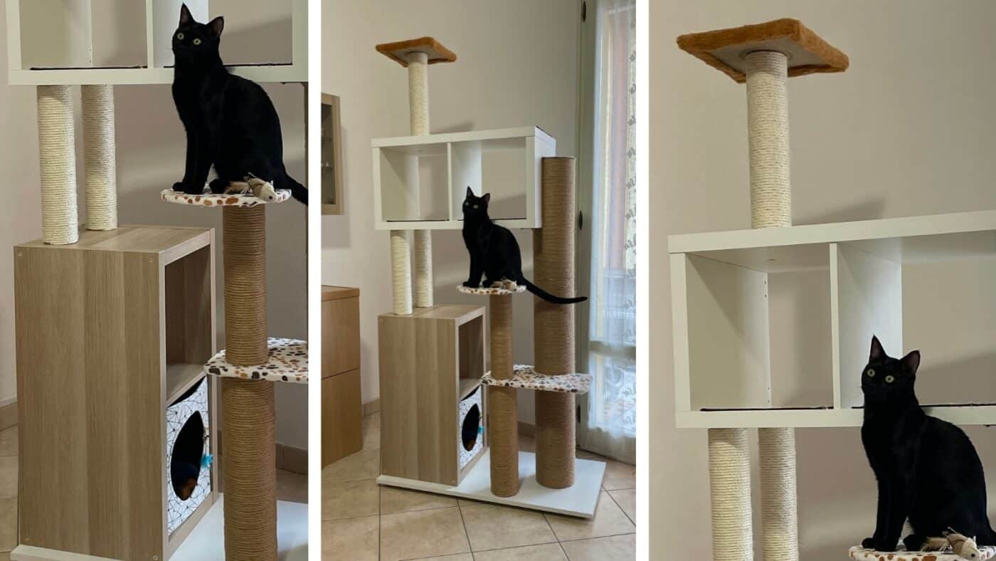Cat Owner Hacks IKEA KALLAX into Cat-Approved Climbing Tower