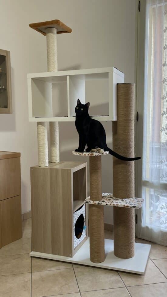 Cat Owner Hacks IKEA KALLAX into Cat-Approved Climbing Tower